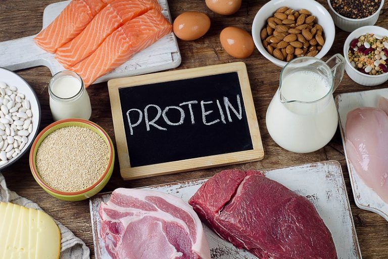 21 Makanan yang Mengandung Protein, Baik untuk Tubuh - Qoala Indonesia
