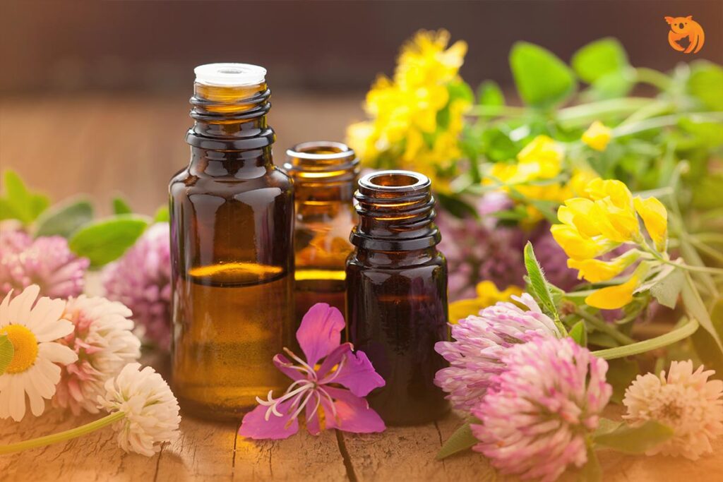 Ini 20 Manfaat Essential Oil, dari Relaksasi Hingga Kesehatan - Qoala ...