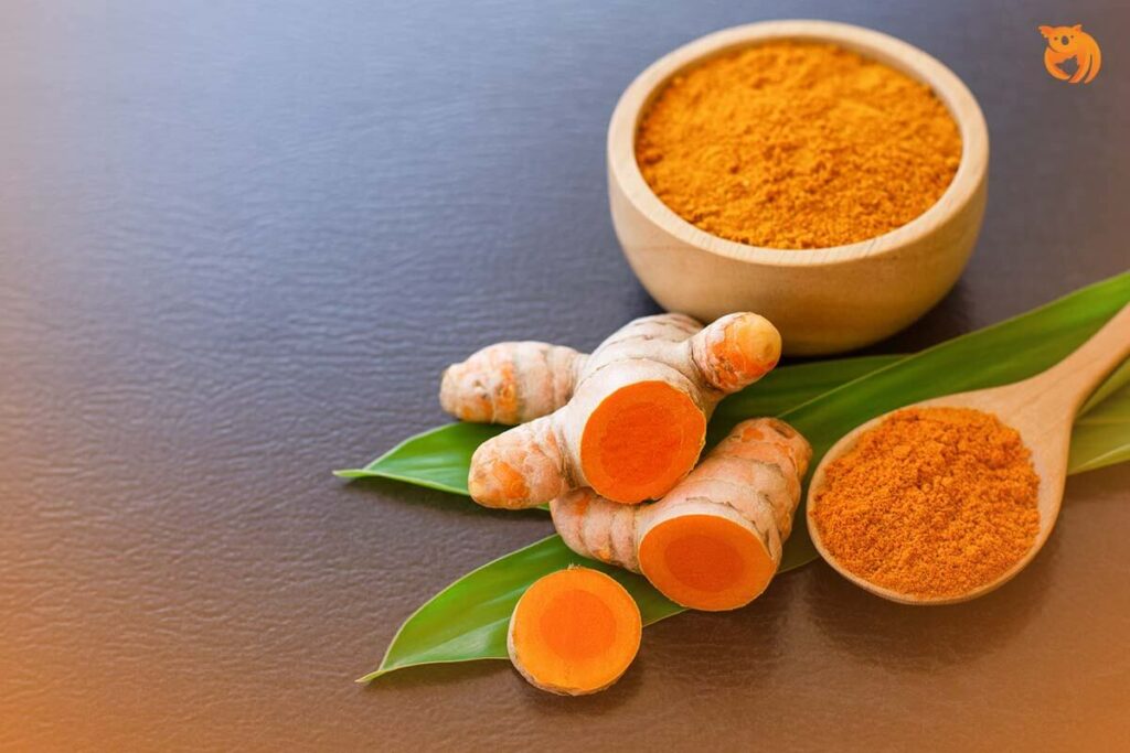 20 Manfaat Temulawak untuk Kesehatan, Obat Alami! - Qoala Indonesia