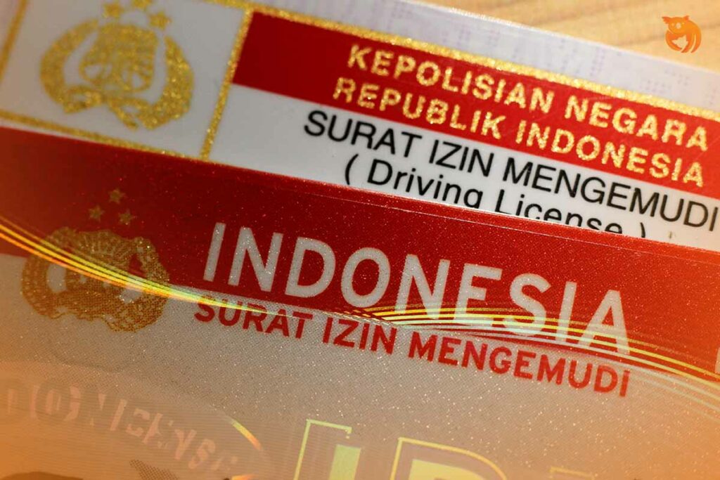 Cara Mengecek SIM Online dengan Mudah dan Praktis! - Qoala Indonesia