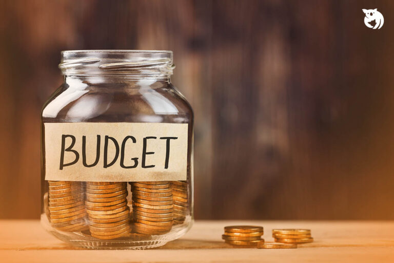 Apa Itu Budget? Pengertian, Jenis hingga Fungsi