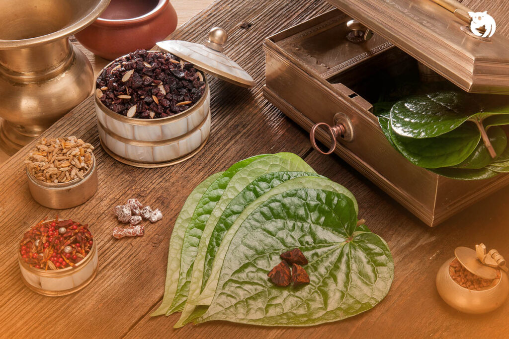 6 Manfaat Daun Sirih untuk Kesehatan dan Efeknya untuk Tubuh - Qoala ...